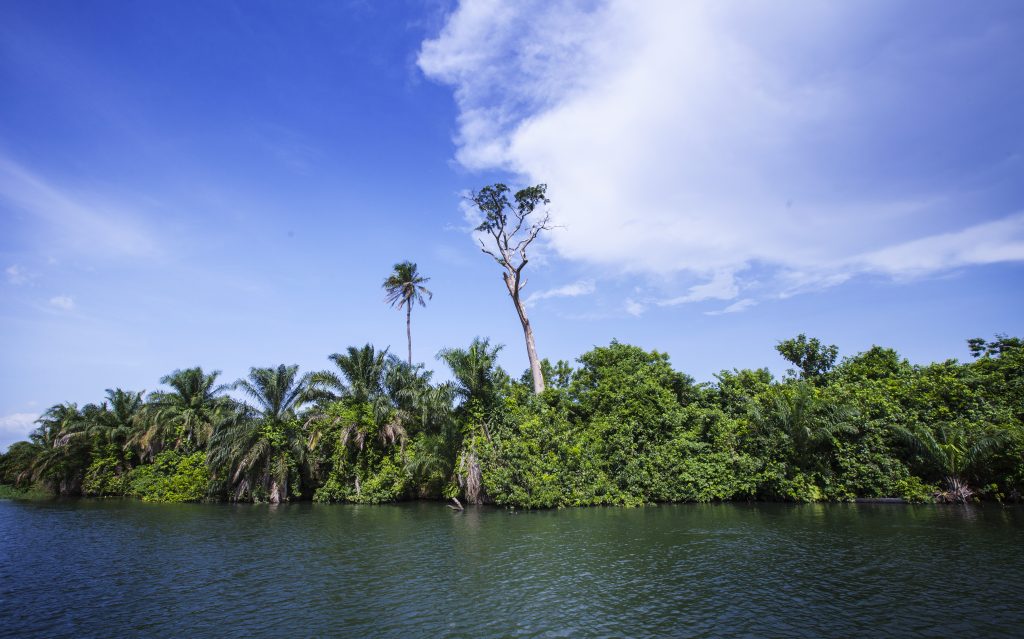 ECO VOLTA TRAIL - The Chariot